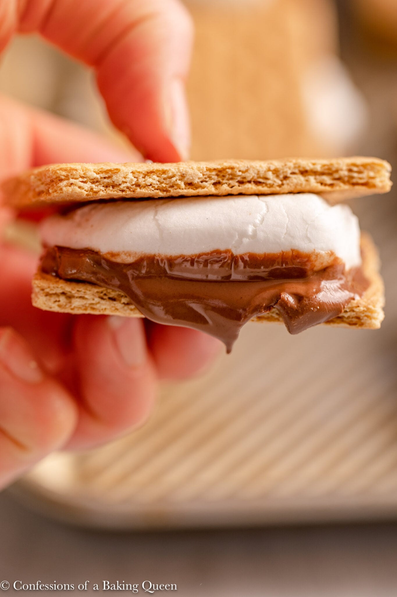 Easy Oven S’mores in Under 10 Minutes—Fast & Fun Recipe - Confessions ...